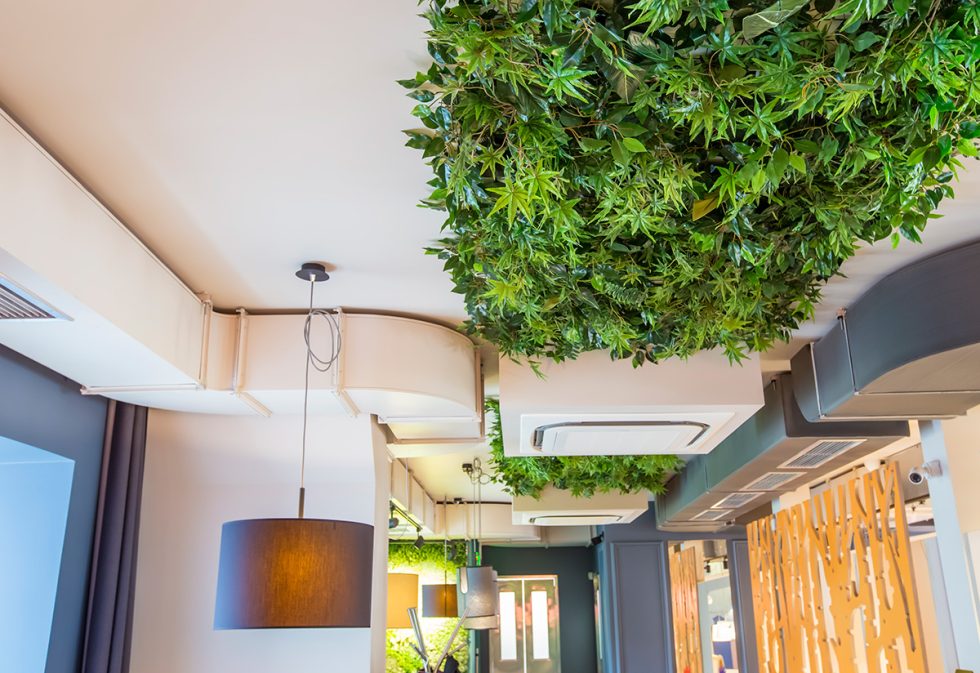What Are Examples of Biophilic Design Elements? | Urban Botanicals ...